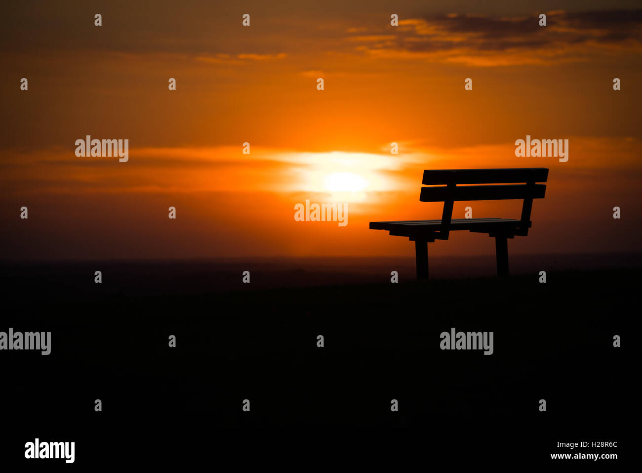 Epsom sunset bench Stock Photo - Alamy