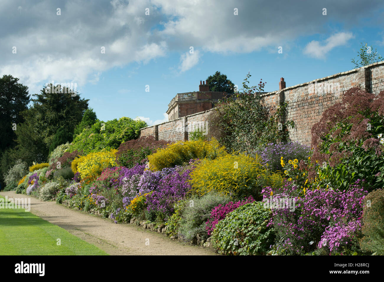 Fall flower border hi-res stock photography and images - Alamy