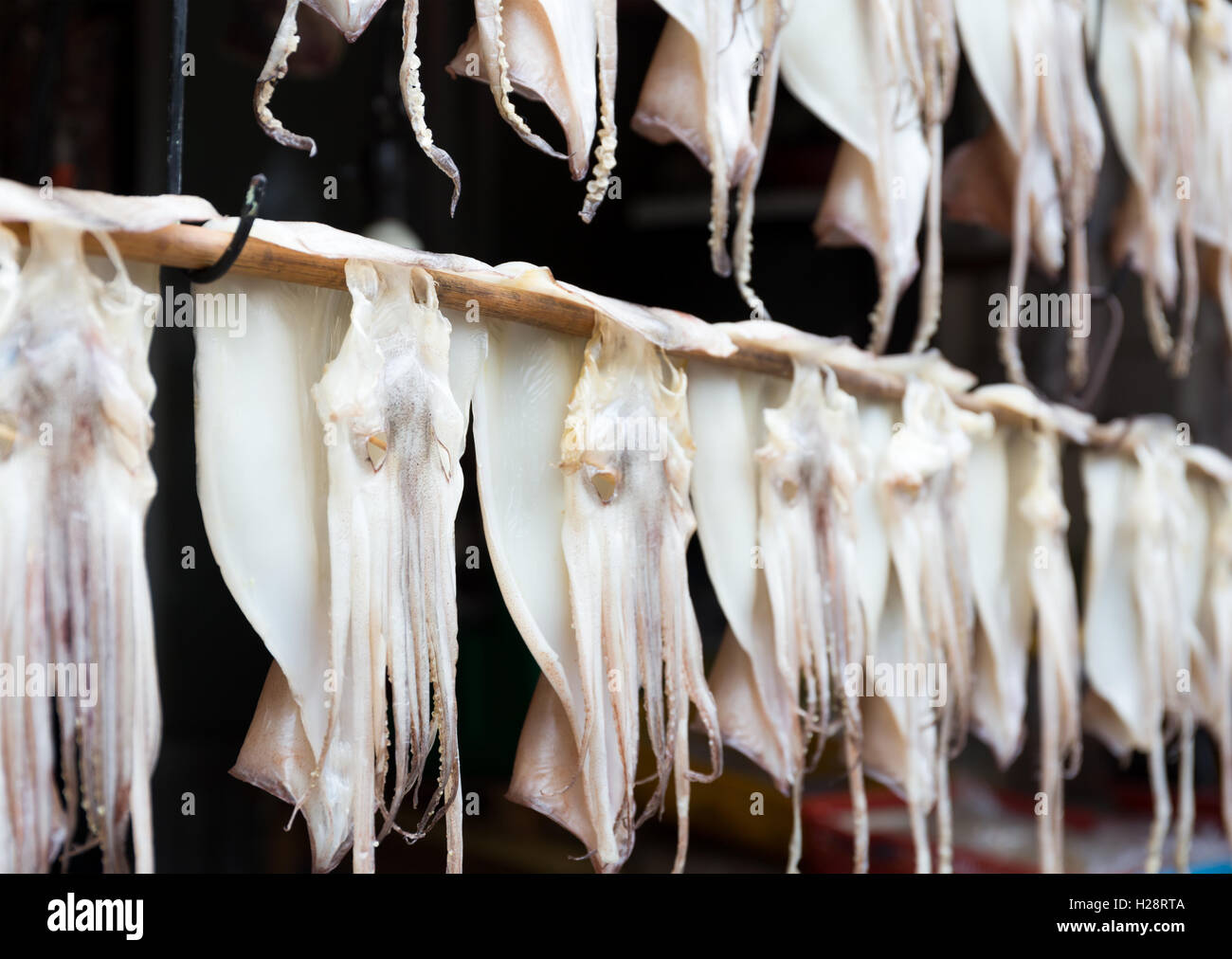 Hanging squid for dehydration Stock Photo - Alamy