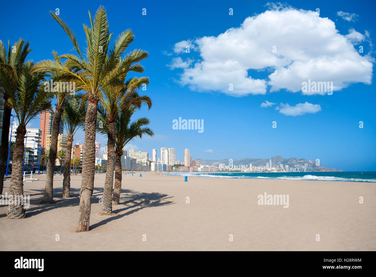 Benidorm Alicante beach palm trees and Mediterranean Stock Photo - Alamy