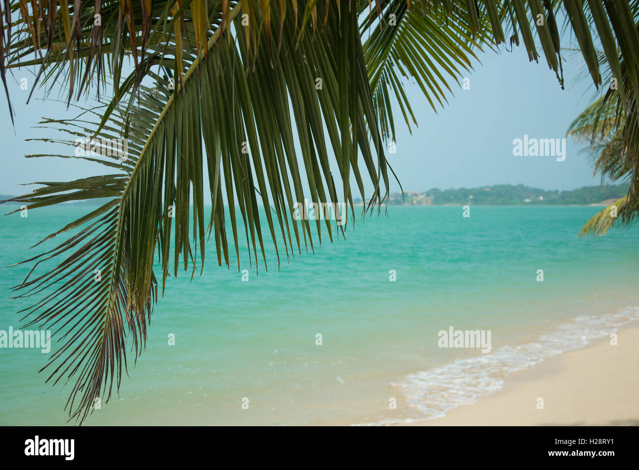 Beautiful tropical beach with white sand Stock Photo - Alamy
