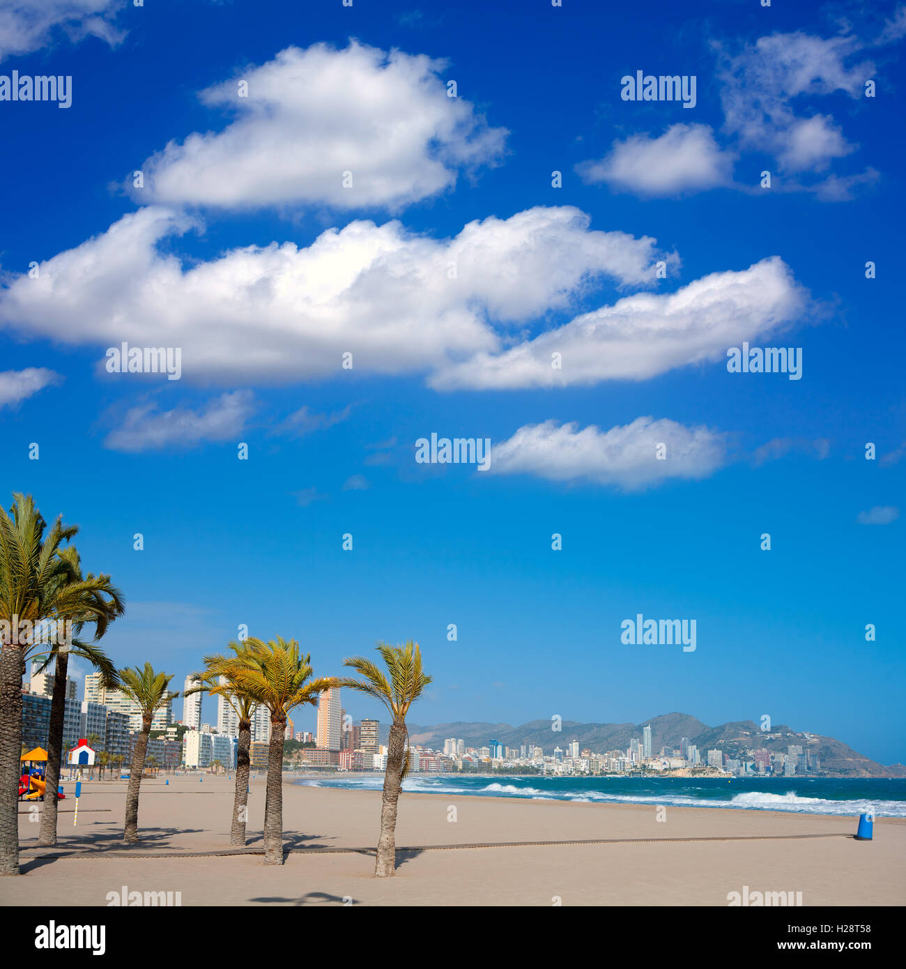 Benidorm skyline and palm trees hi-res stock photography and images - Alamy