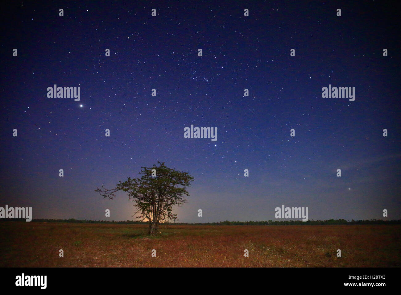 Star crack hi-res stock photography and images - Alamy