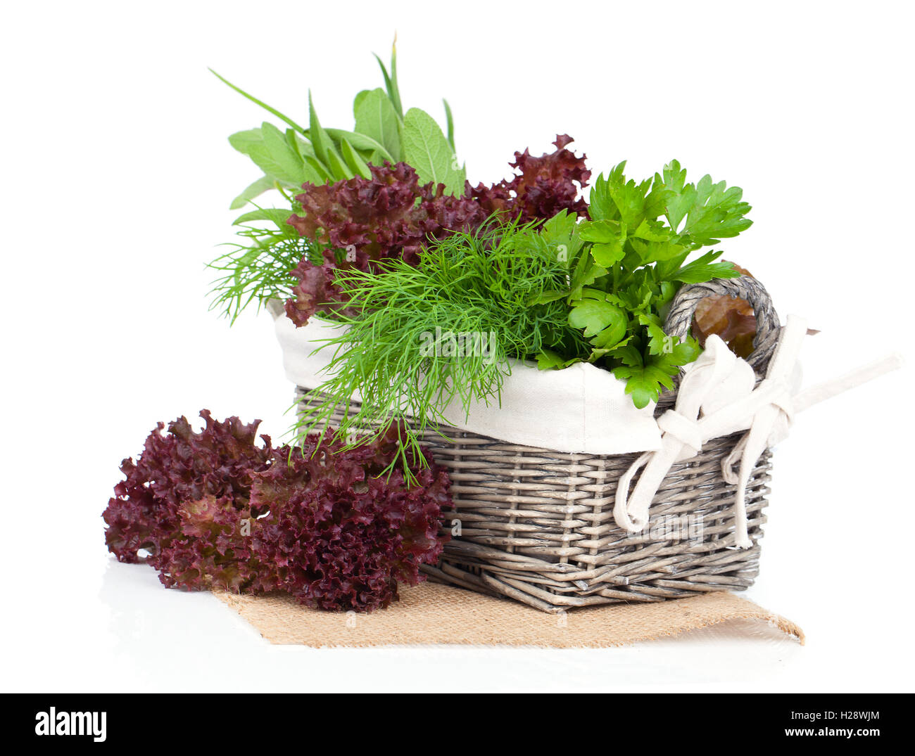 Braided leaf Cut Out Stock Images & Pictures - Alamy