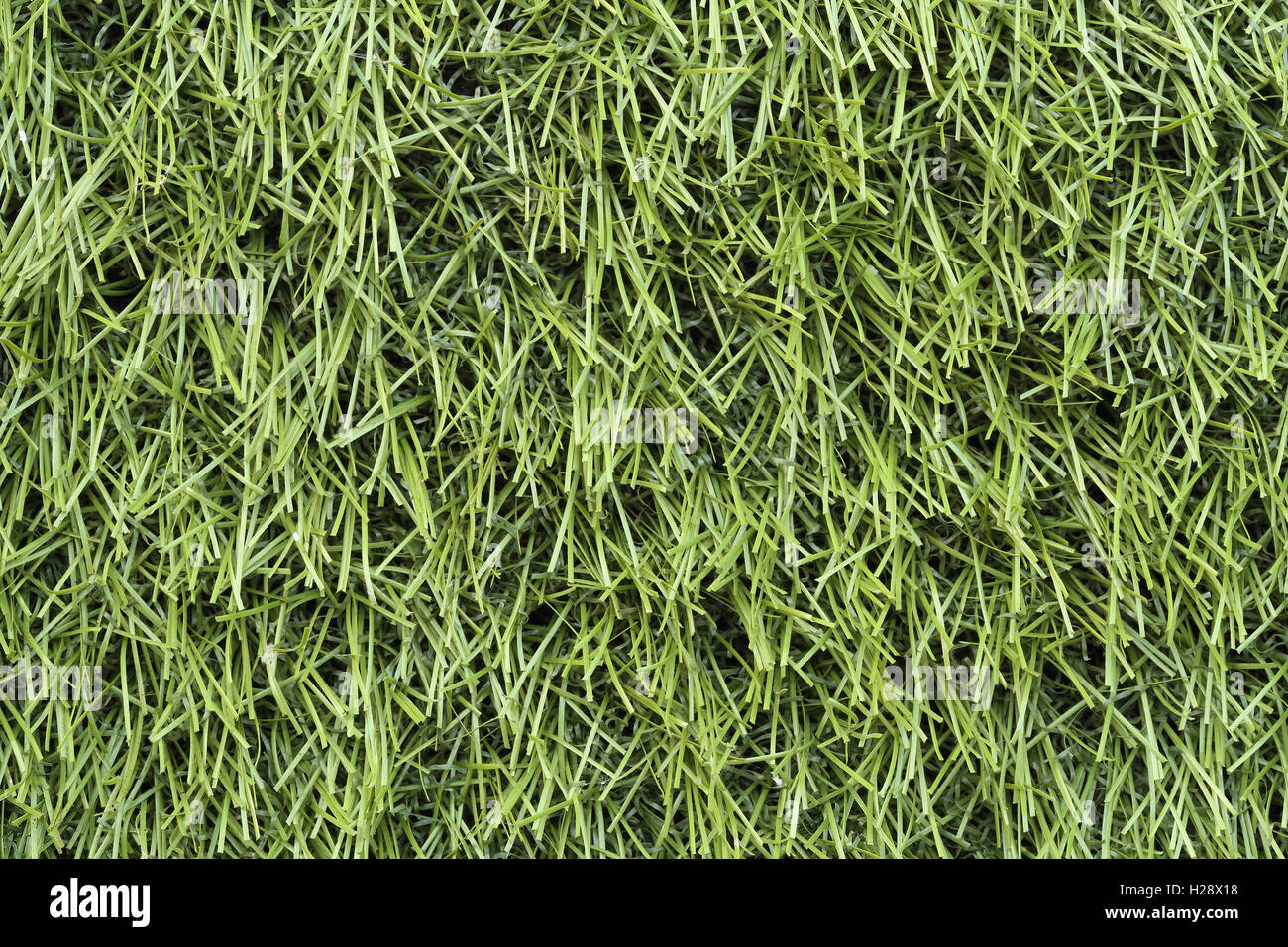 green grass texture Stock Photo - Alamy