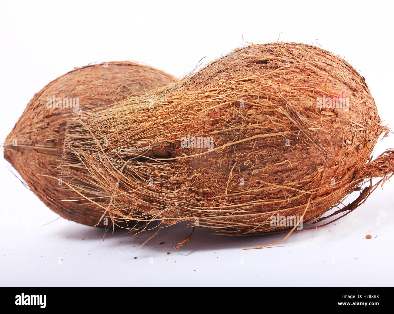 coconut on isolated background Stock Photo - Alamy