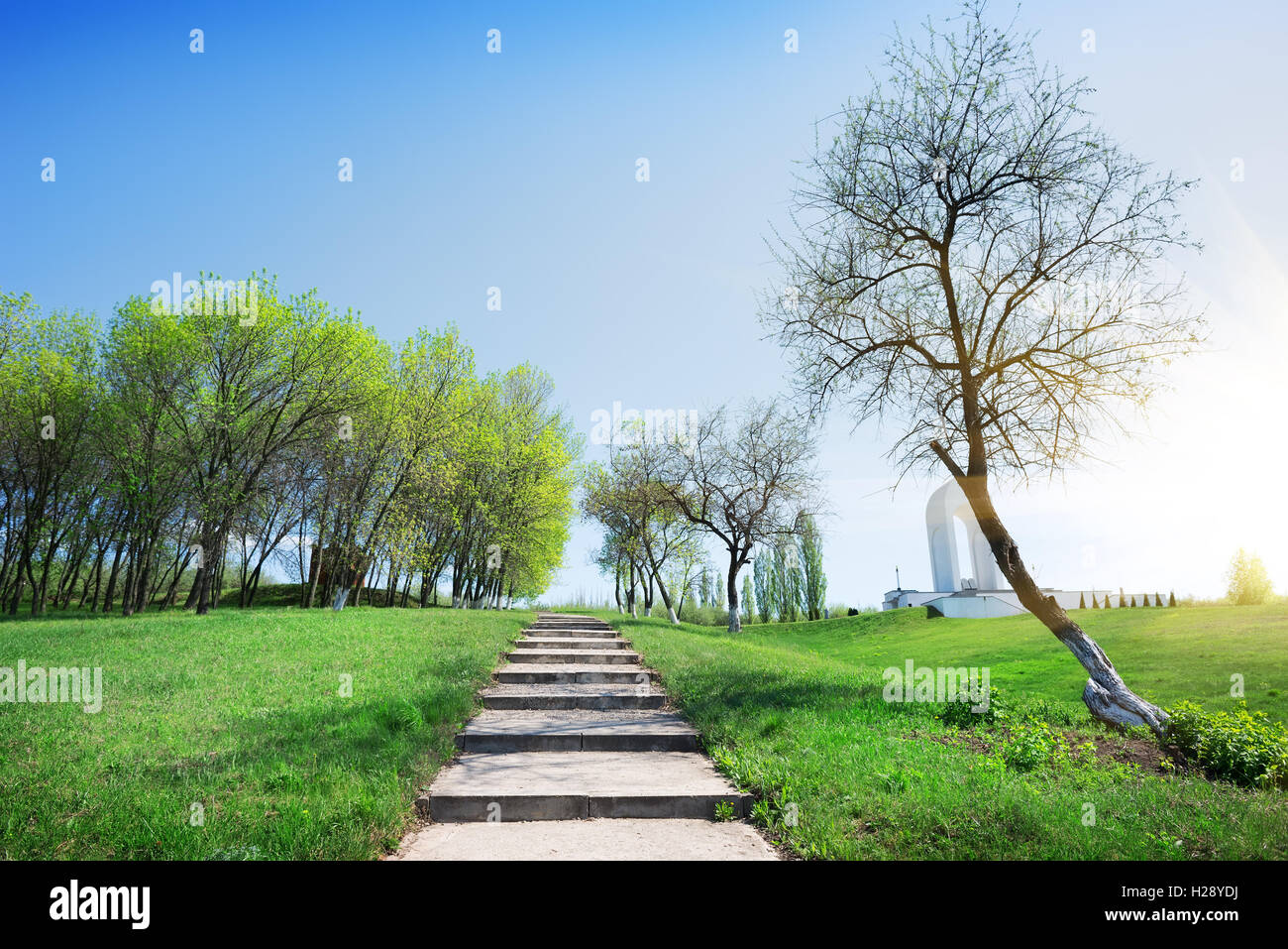 Steps in the park Stock Photo - Alamy