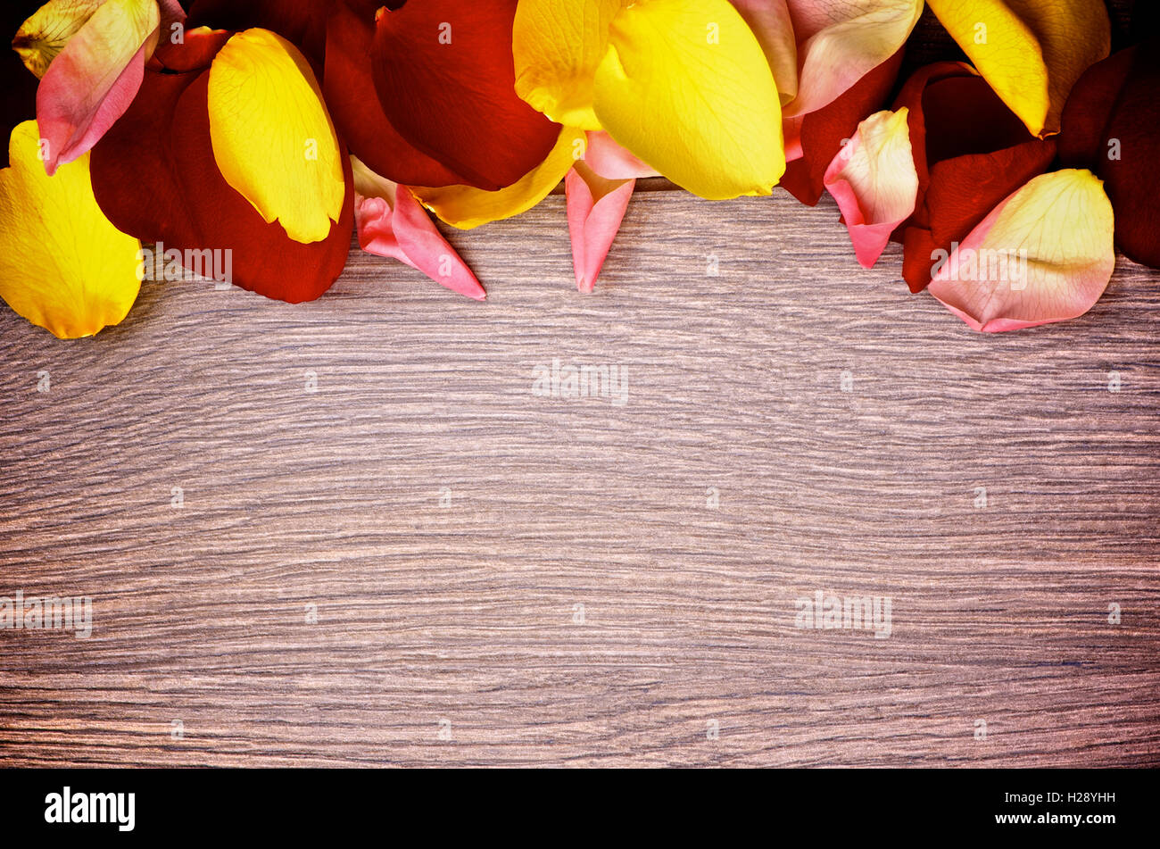 Frame of Rose Petals Stock Photo - Alamy