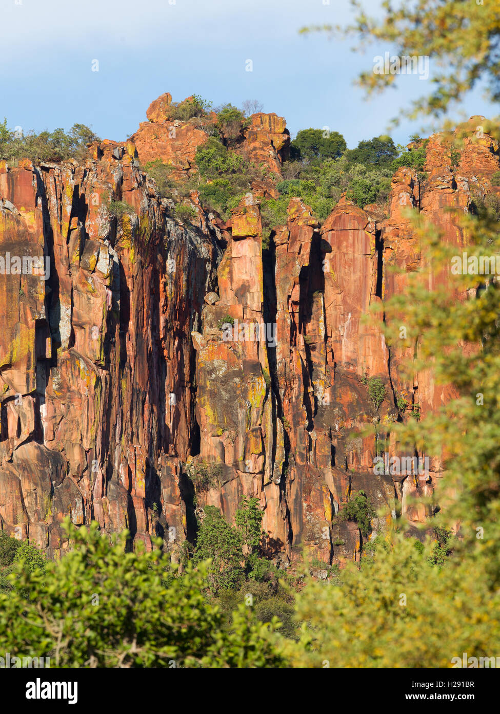 Waterberg plateau nature reserve Stock Photo - Alamy