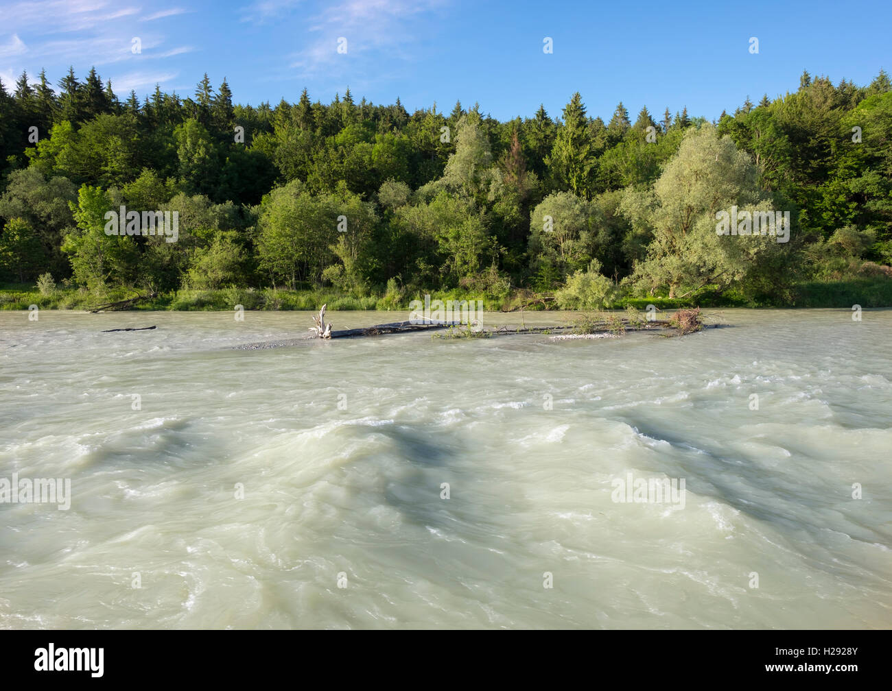 Isar mit Hochwasser, Naturschutzgebiet Isarauen, Geretsried, Oberbayern ...