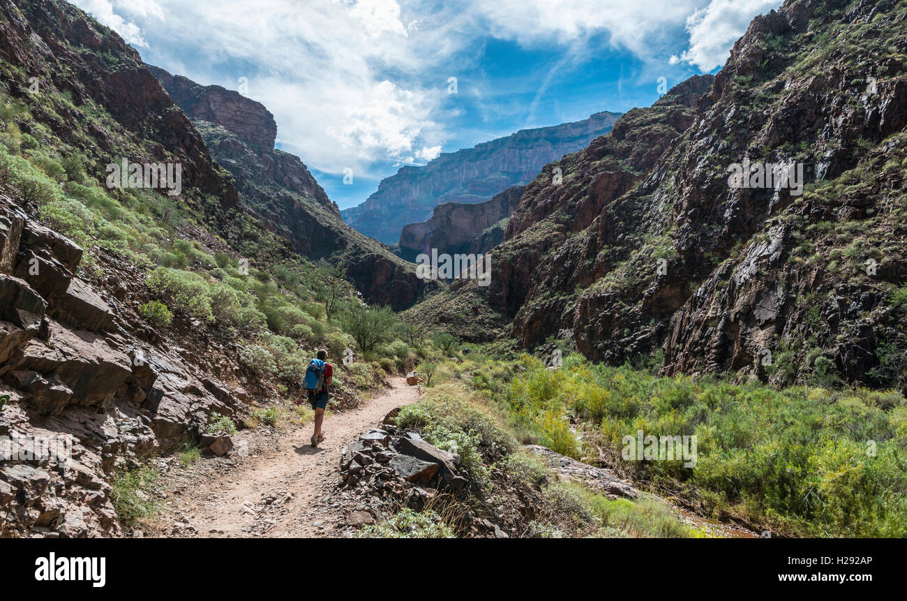 Hiker on the Bright Angles Trail, Grand Canyon National Park, Arizona ...