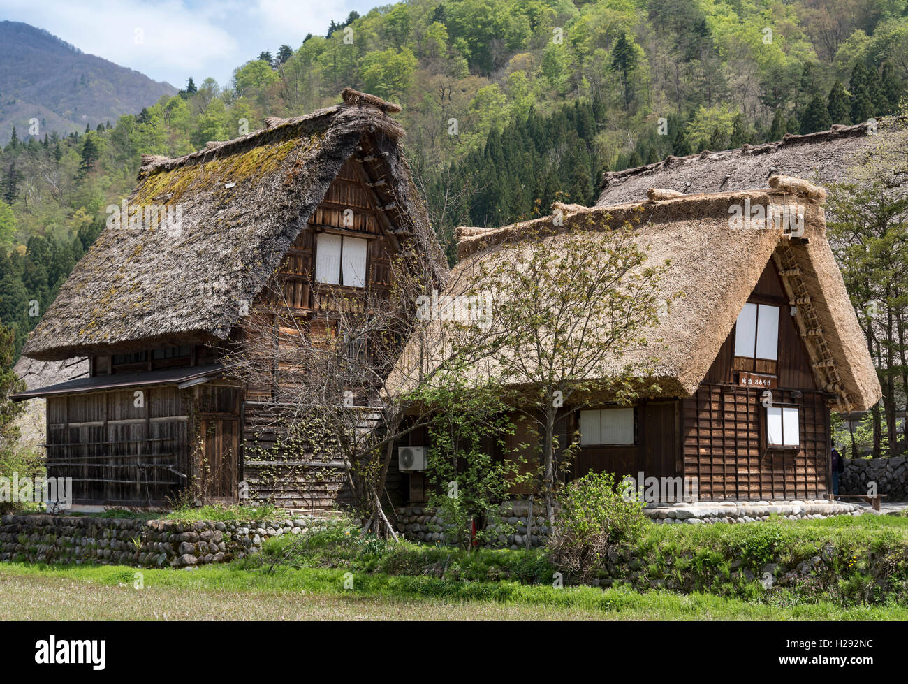 Ogimachi Folk Village, Hida Shirakawa-go (Shirakawa), Japan Stock Photo ...