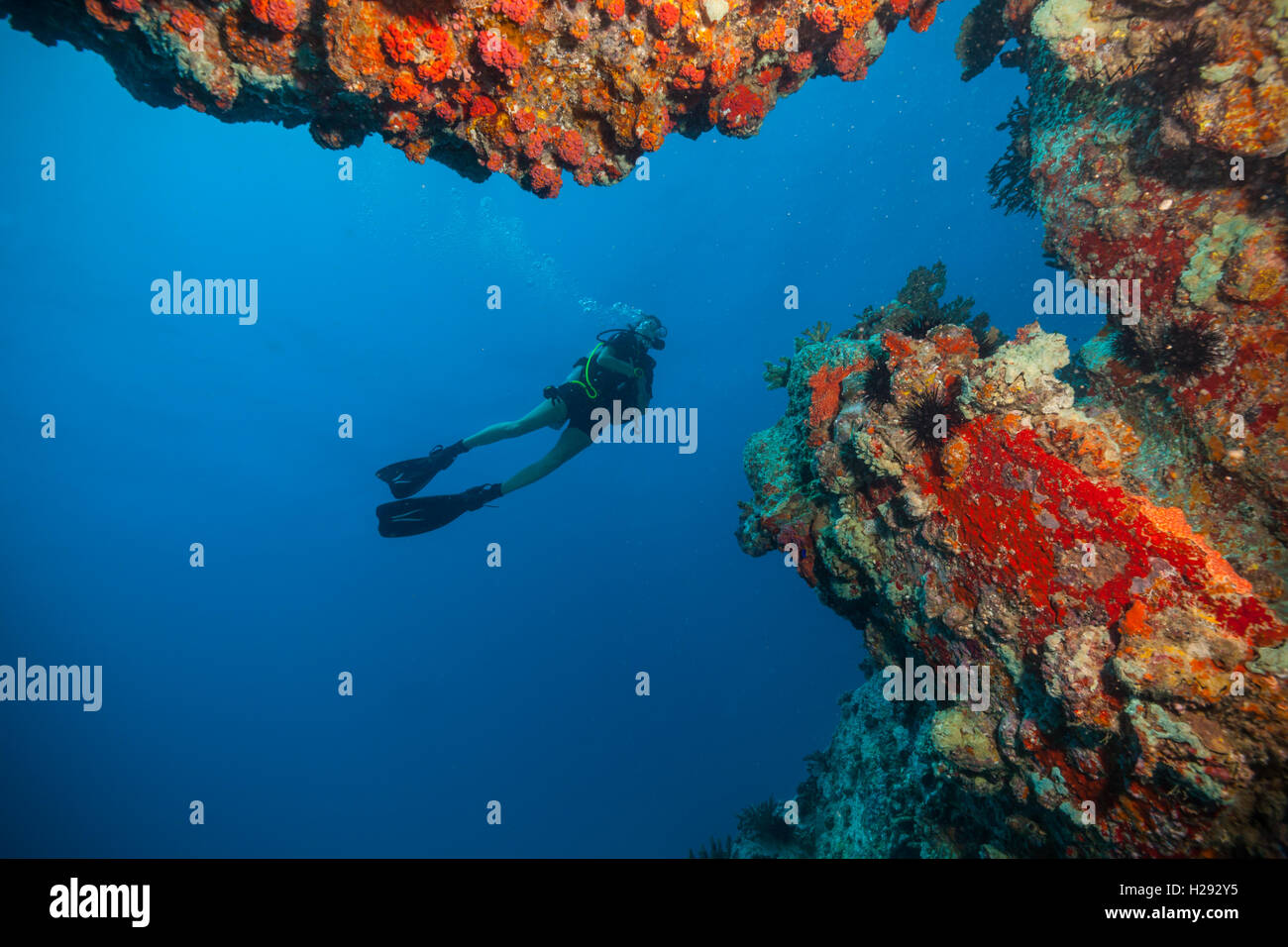 Woman Underwater Closeup Stock Photos & Woman Underwater Closeup Stock ...