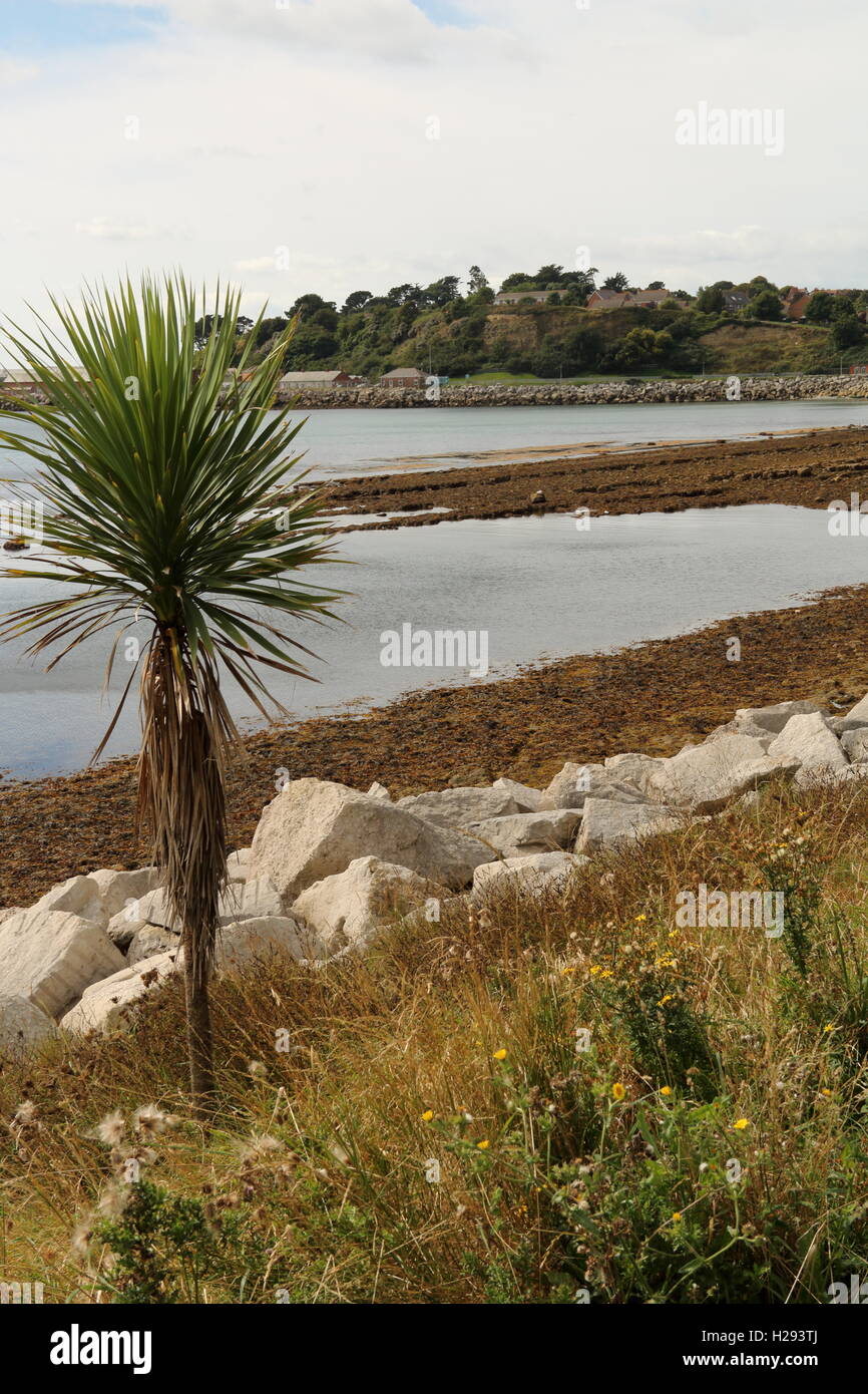Nothe gardens weymouth High Resolution Stock Photography and Images - Alamy