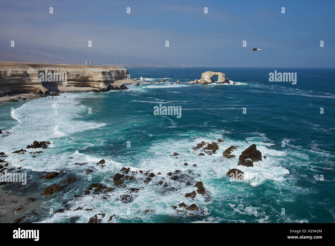 Portada hi-res stock photography and images - Alamy