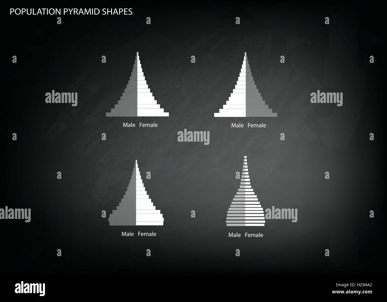 Population And Demography Illustration Of 4 Types Of Population Pyramids Chart Or Age Structure