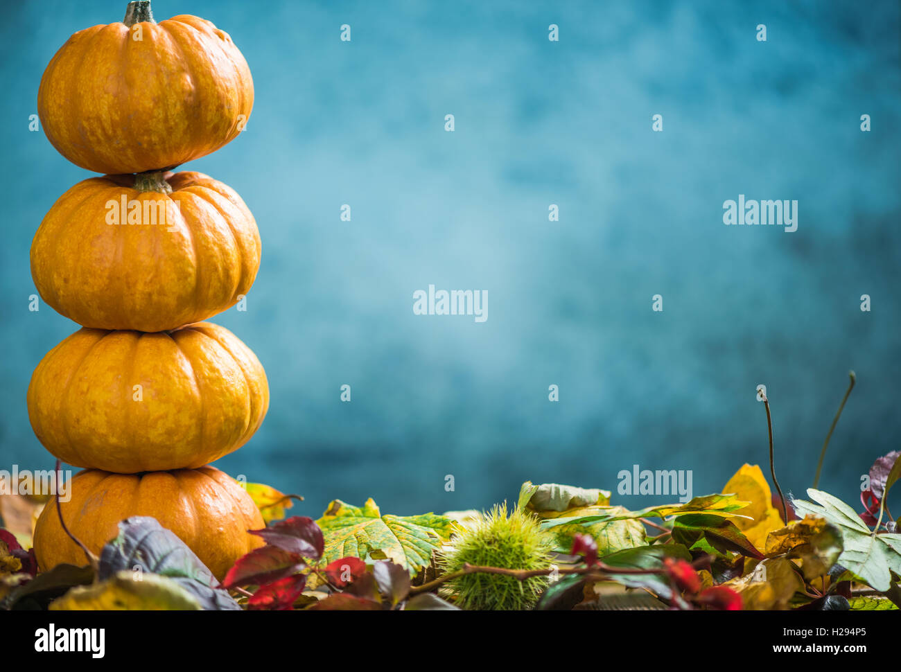 Pumpkins with fall background, copy space frame background Stock Photo ...