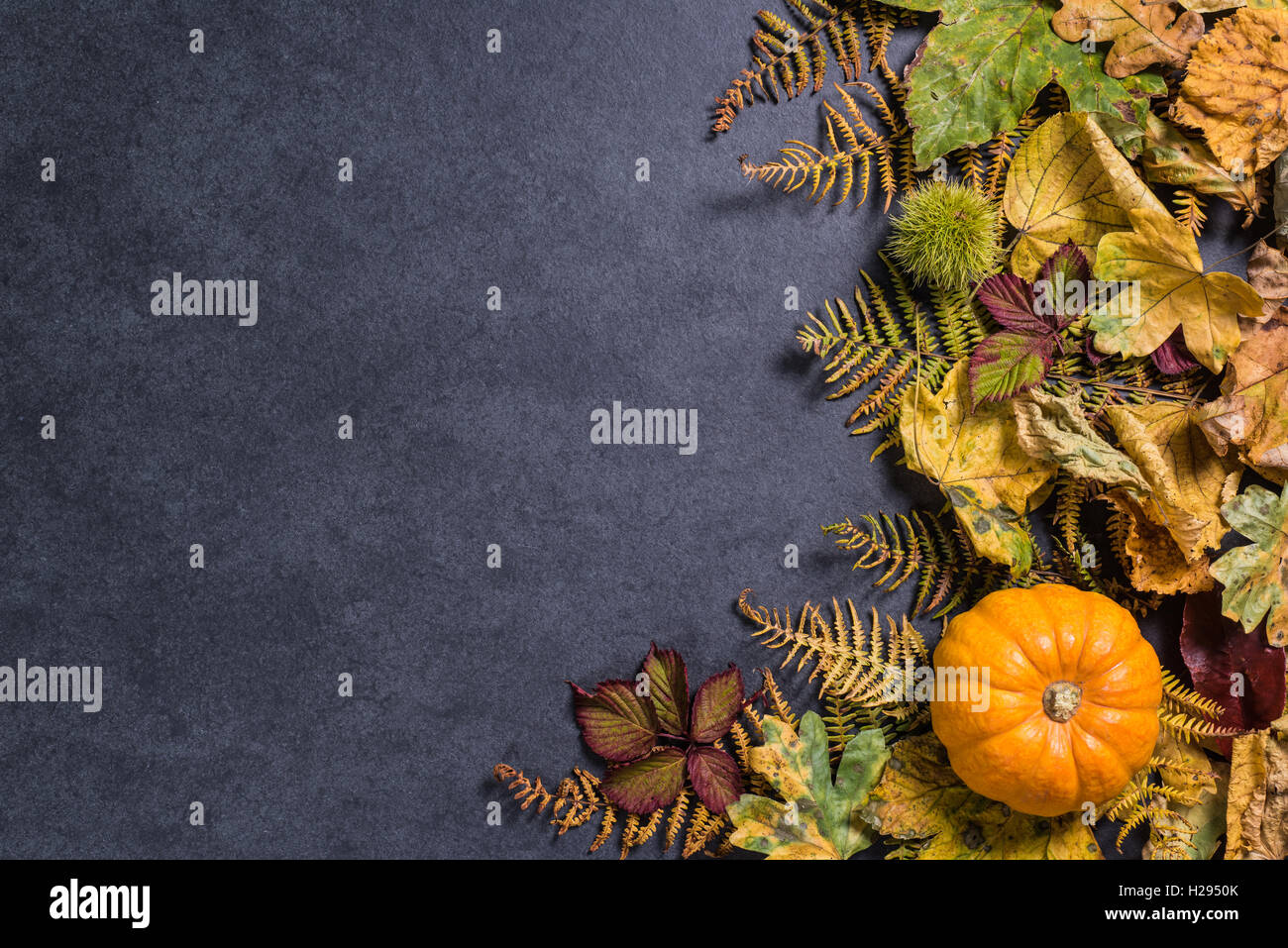 Colors of fall frame background on dark slate Stock Photo - Alamy