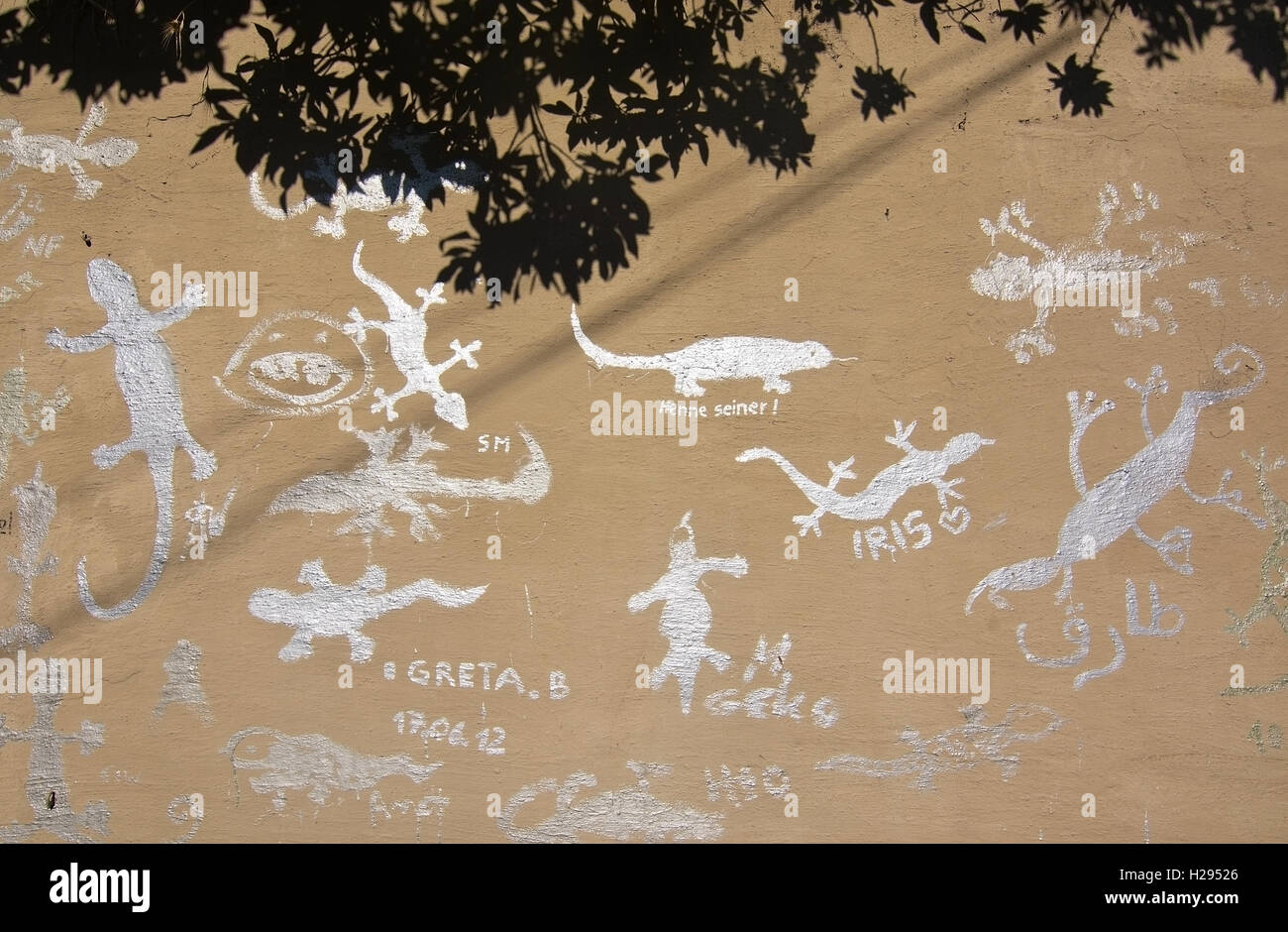 Unusual silver color lizzard graffiti El Terreno street on a sunny ...