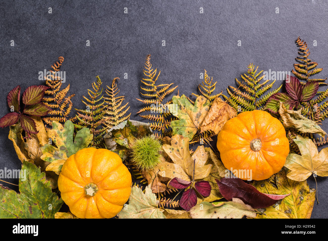 Autumn themed template background, overhead view Stock Photo - Alamy