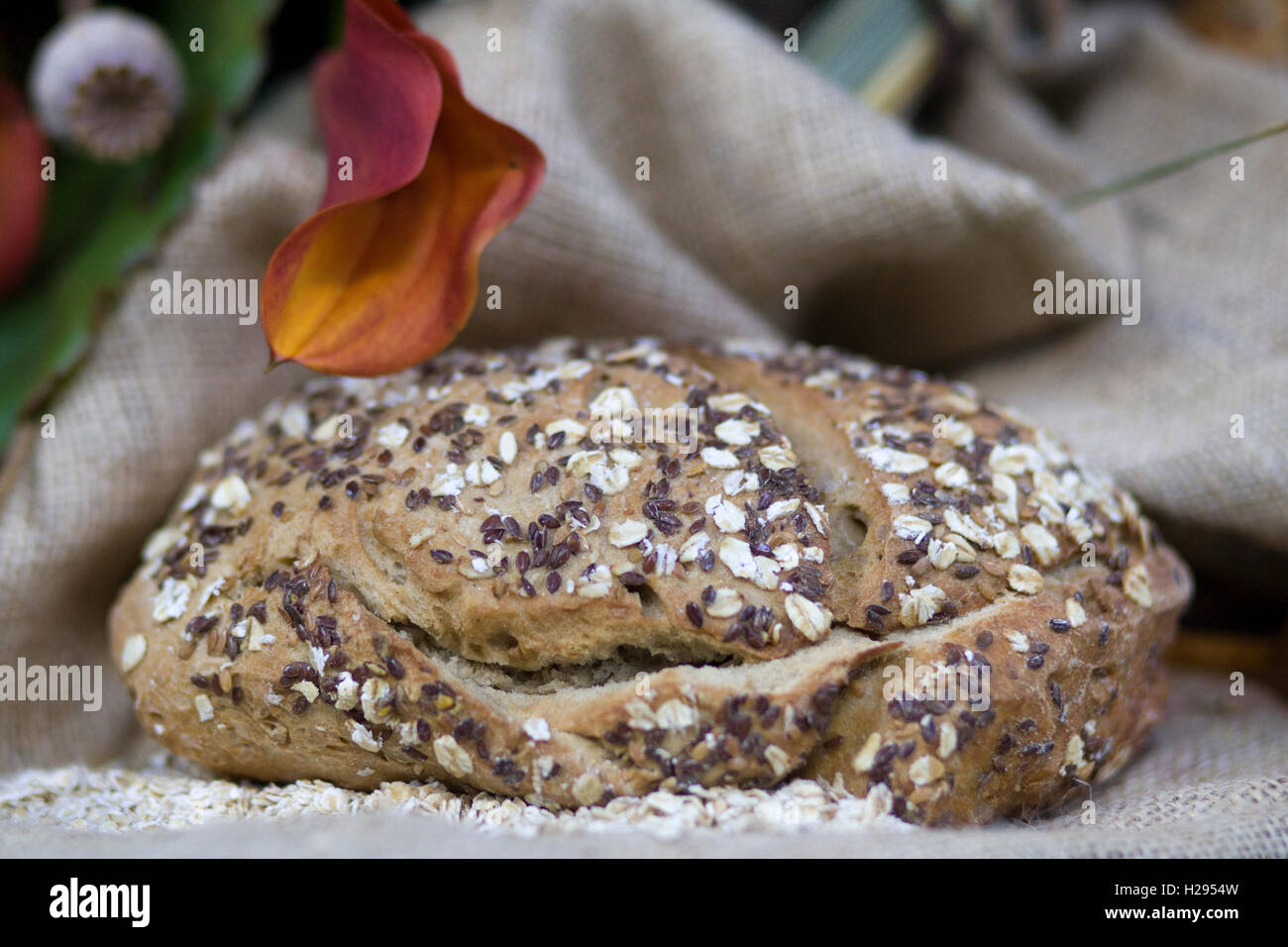 multi seeded bread Stock Photo - Alamy