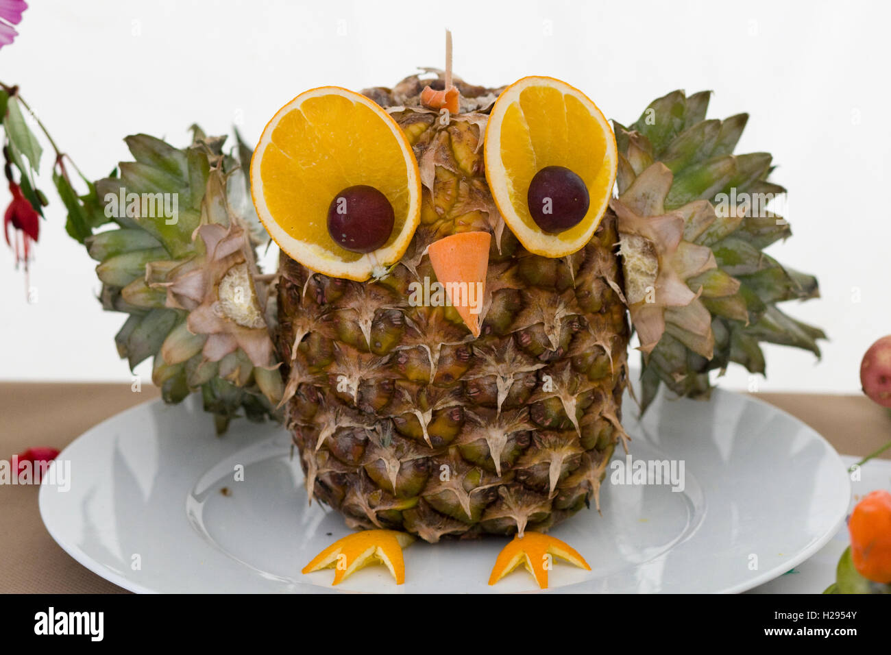 Fruit Owl Large Newest Slant Fruit Bowl Set 07