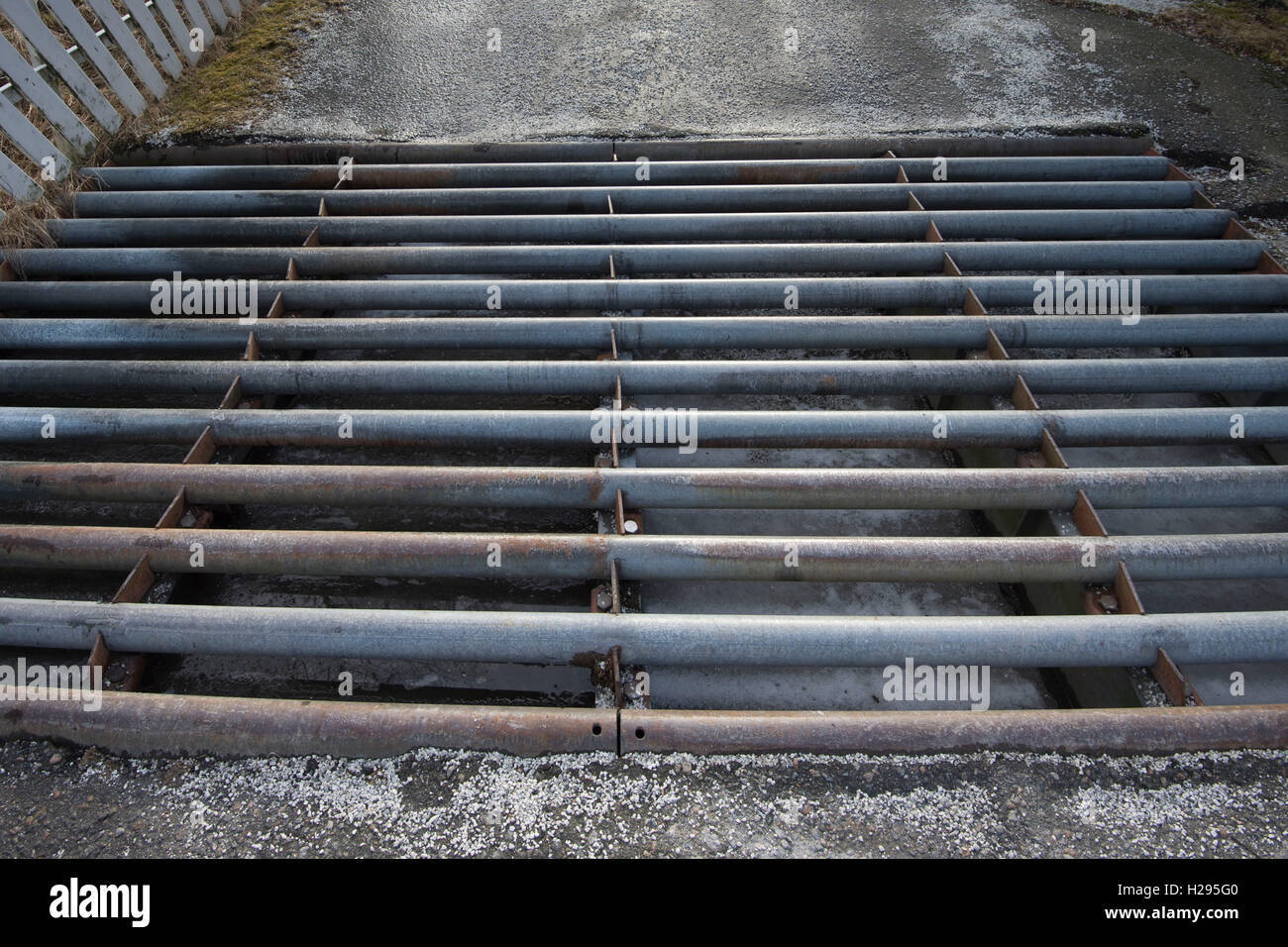 Closeup of a cattle grid Stock Photo - Alamy