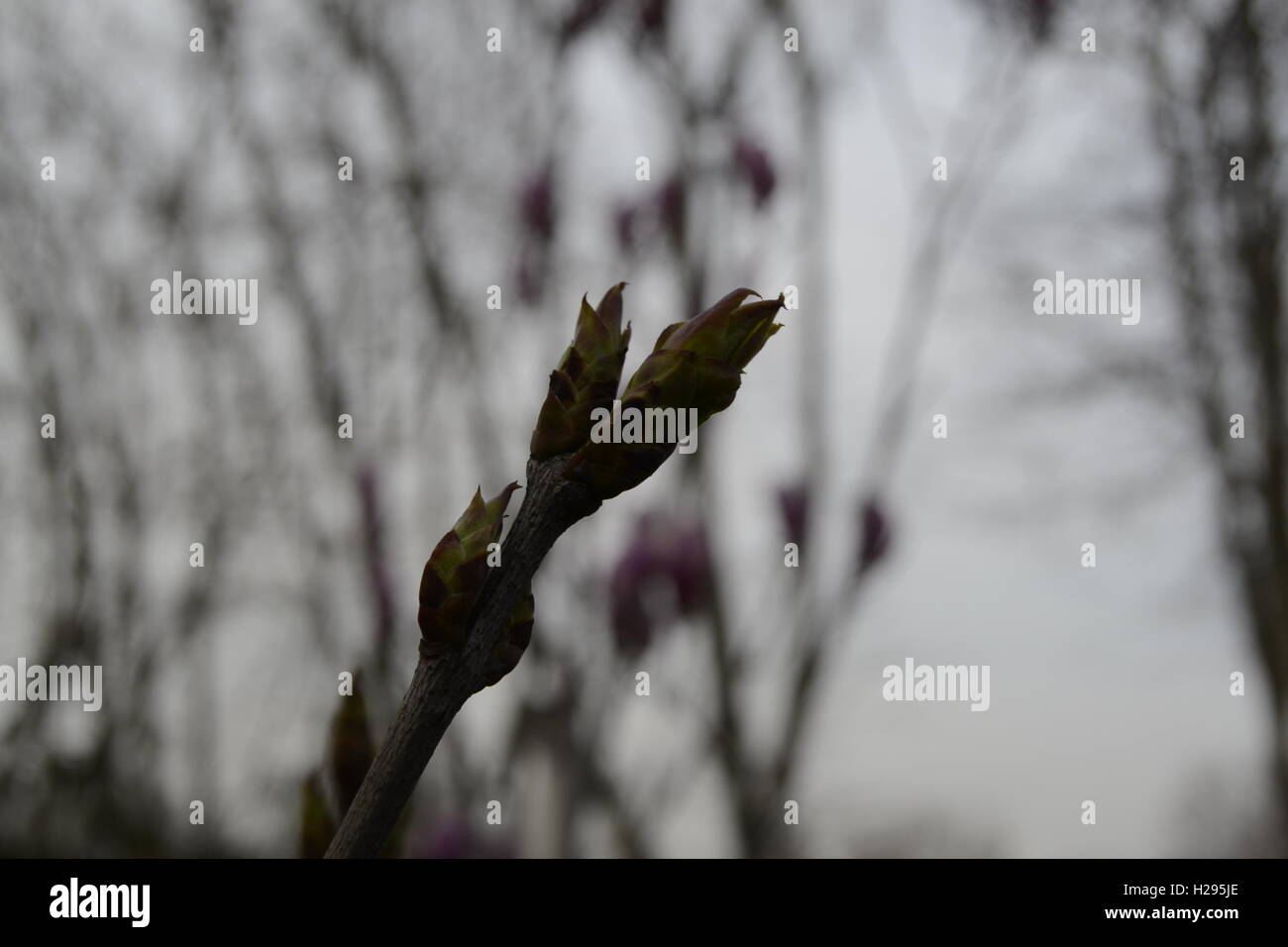 Spring summer fall winter hi-res stock photography and images - Alamy