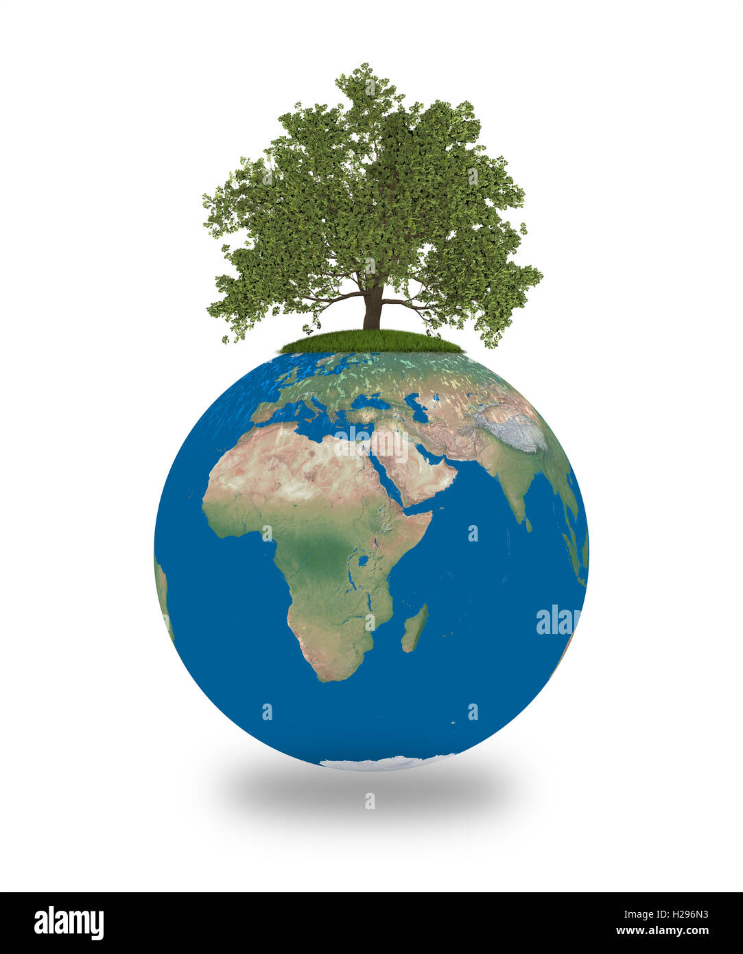 Oak tree on planet Earth Stock Photo - Alamy