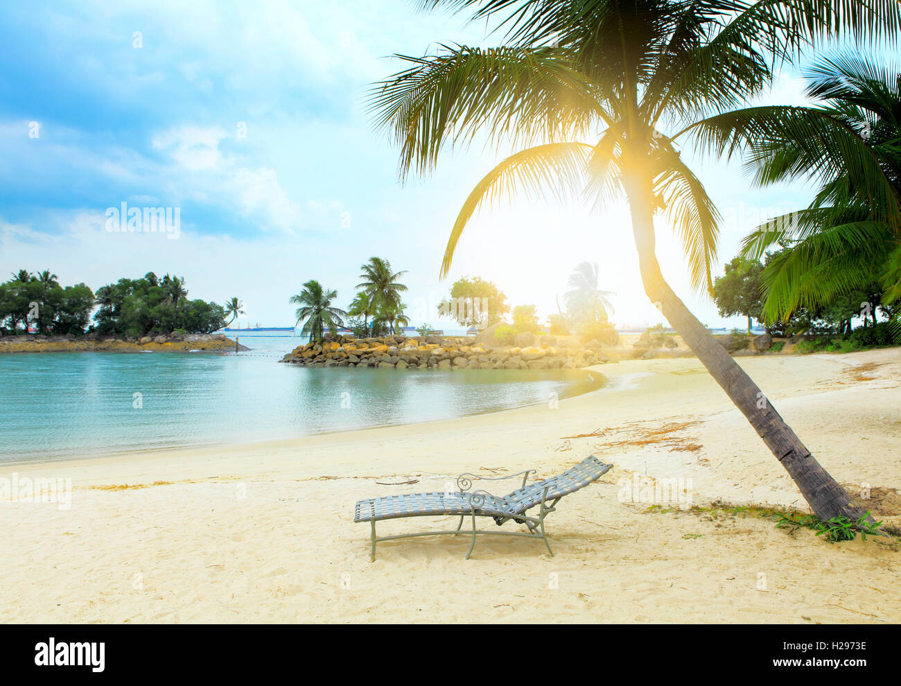 Coconut tree and beach Stock Photo - Alamy