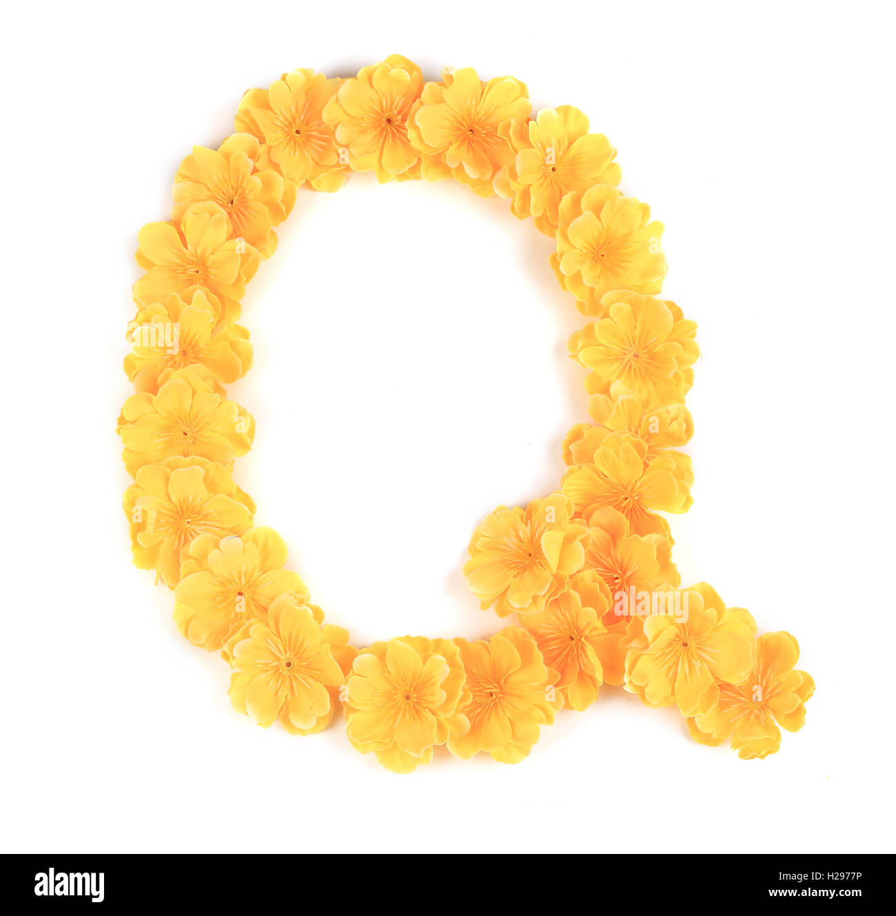 Letter Q flower alphabet Stock Photo - Alamy