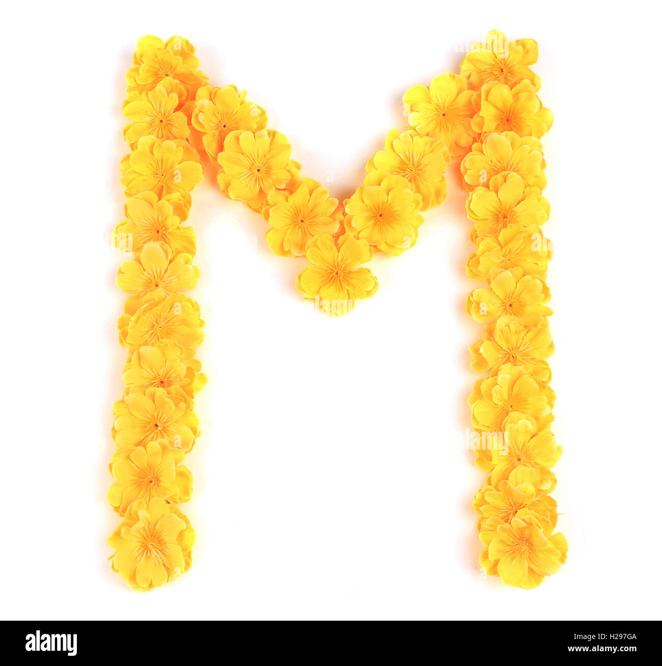 Letter M flower alphabet Stock Photo - Alamy