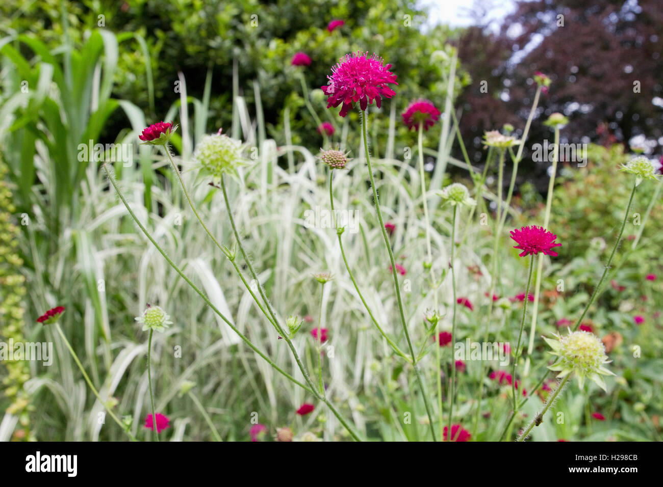 Stoneacre lane hi-res stock photography and images - Alamy
