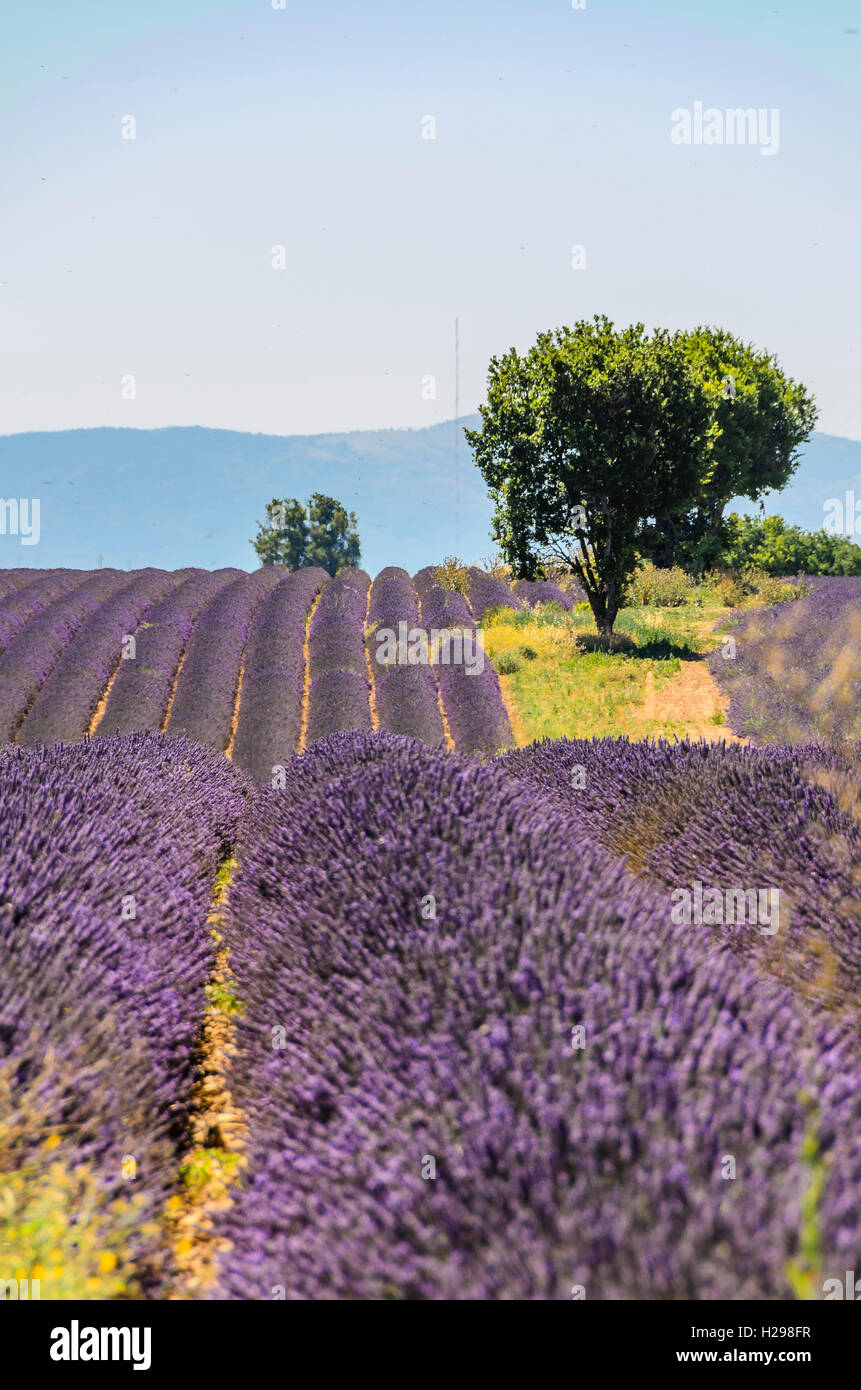 Agence de voyage france hi-res stock photography and images - Alamy