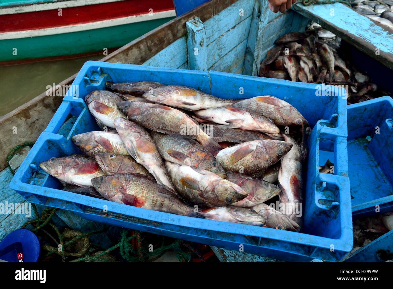 Cagalo - Port in PUERTO PIZARRO. Department of Tumbes .PERU Stock Photo ...