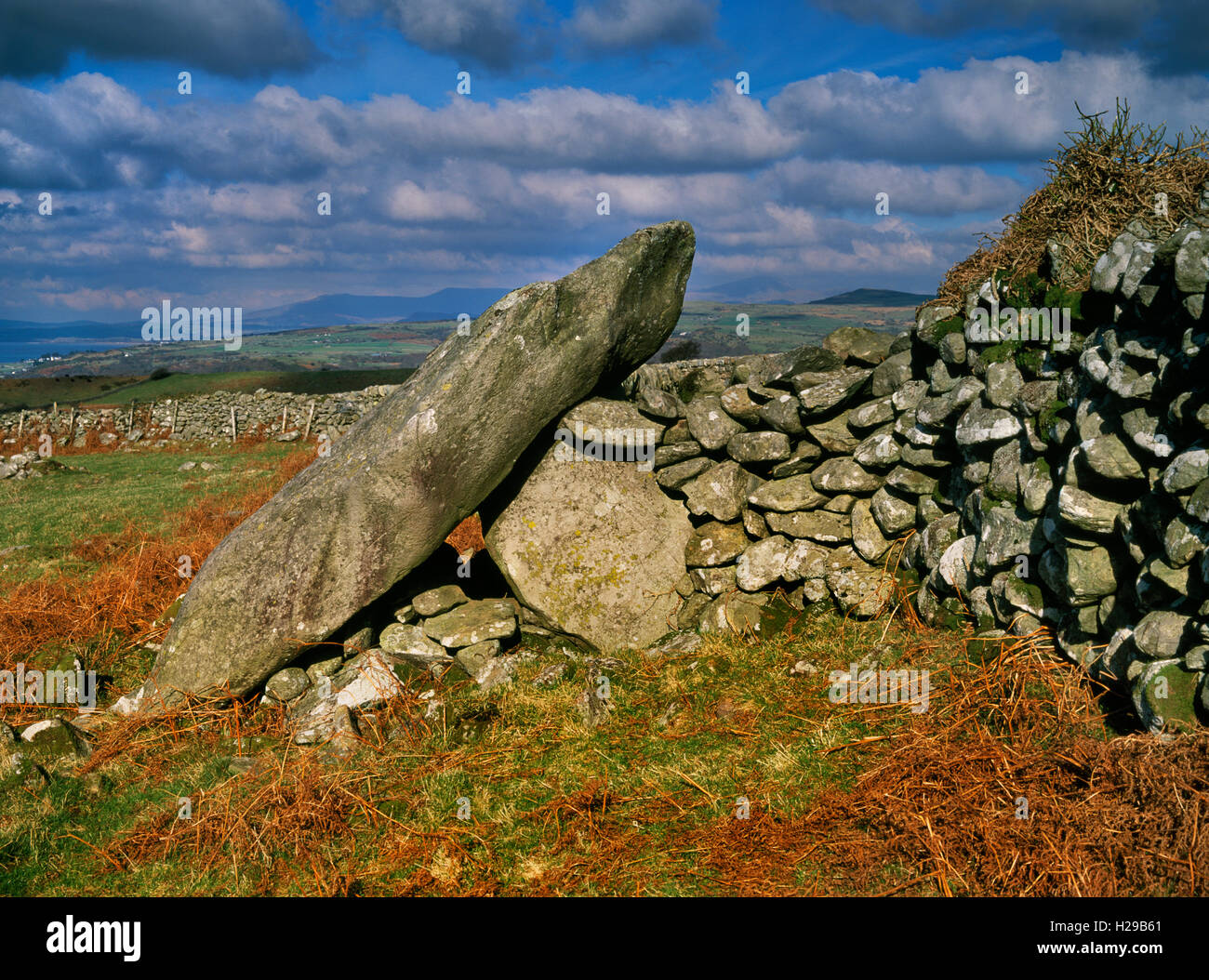 Bron y Foel Isaf burial chamber, Gwynedd: remains of a Neolithic portal ...