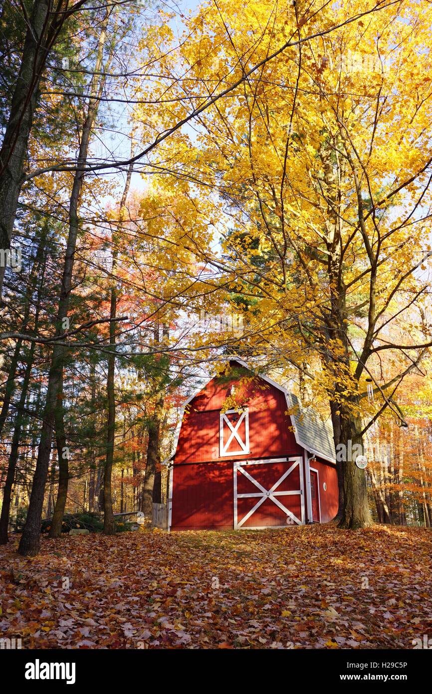 Barn with trees hi-res stock photography and images - Alamy