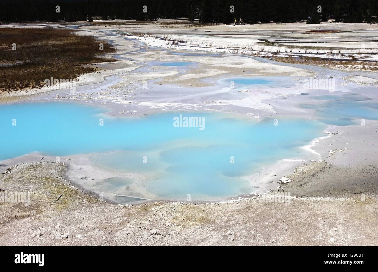 Blue waters of a pool, Porcelain basin, Norris Geyser Basin ...