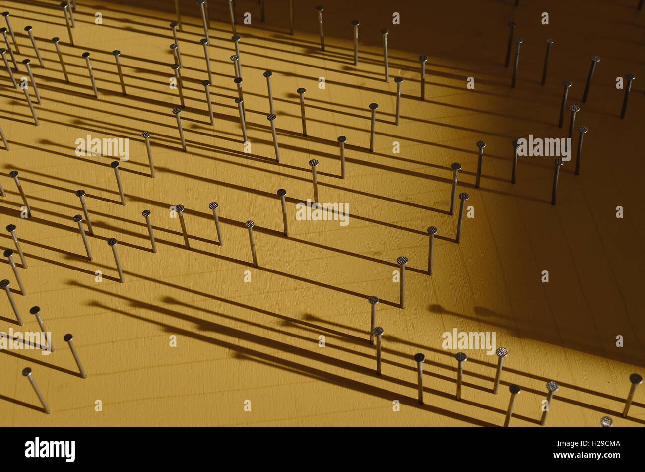 Pictures taken during the construction of handmade wooden labyrinths ...