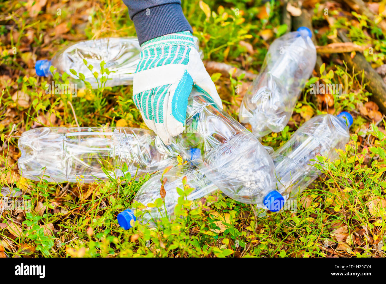 Man picking up used plastic bottles in forest Stock Photo - Alamy