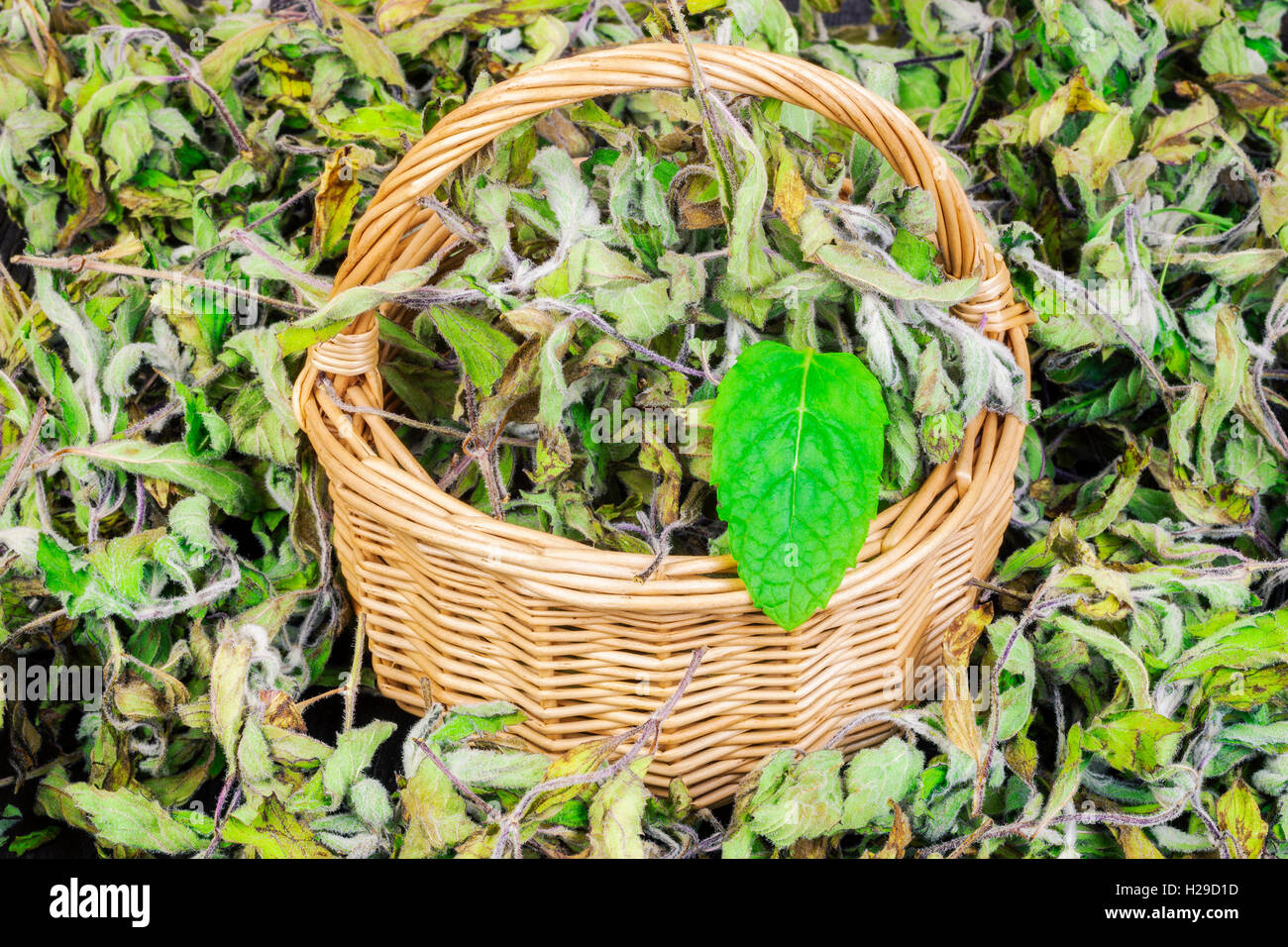 Dried pepper leaves hi-res stock photography and images - Alamy