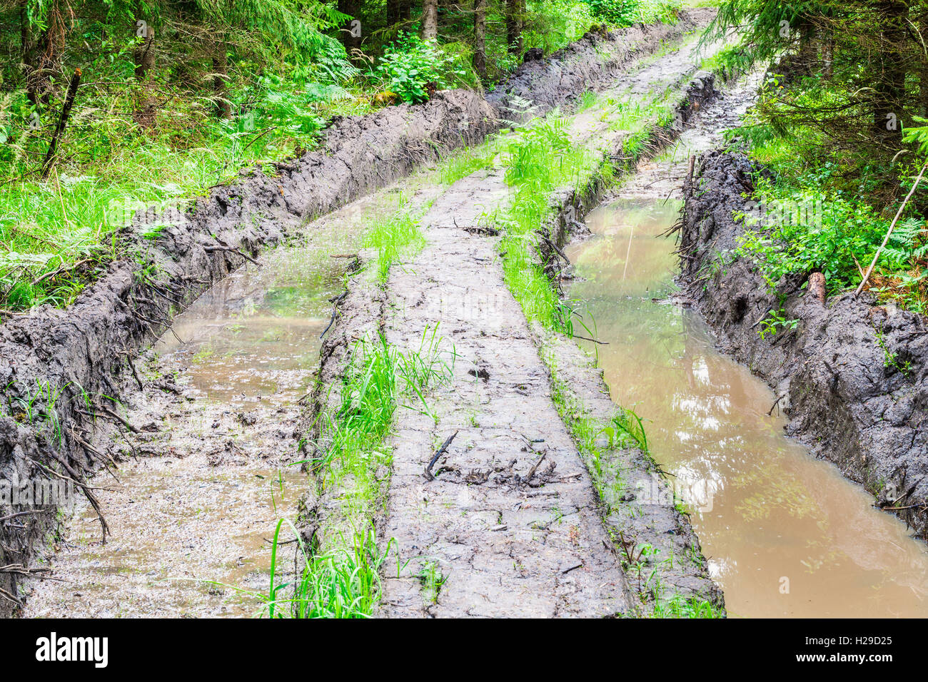 Rutted road hi-res stock photography and images - Alamy