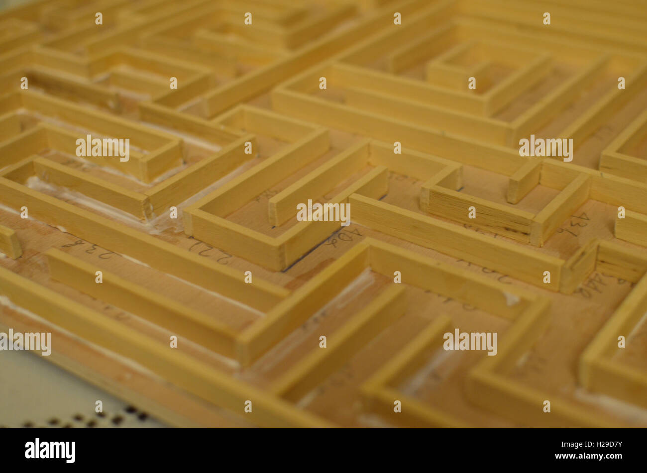 Pictures taken during the construction of handmade wooden labyrinths ...