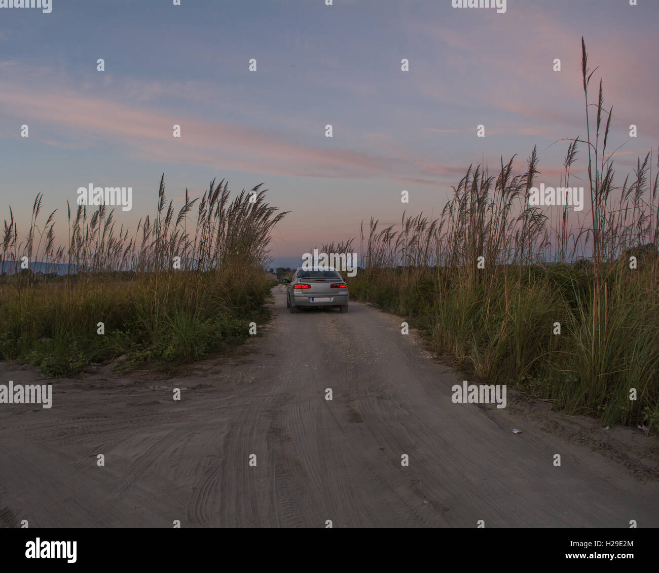 Sand Track Road Dubai High Resolution Stock Photography and Images - Alamy