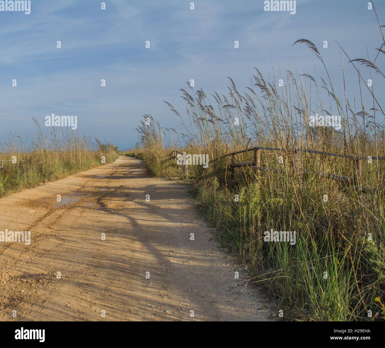 Sandy road hi-res stock photography and images - Alamy