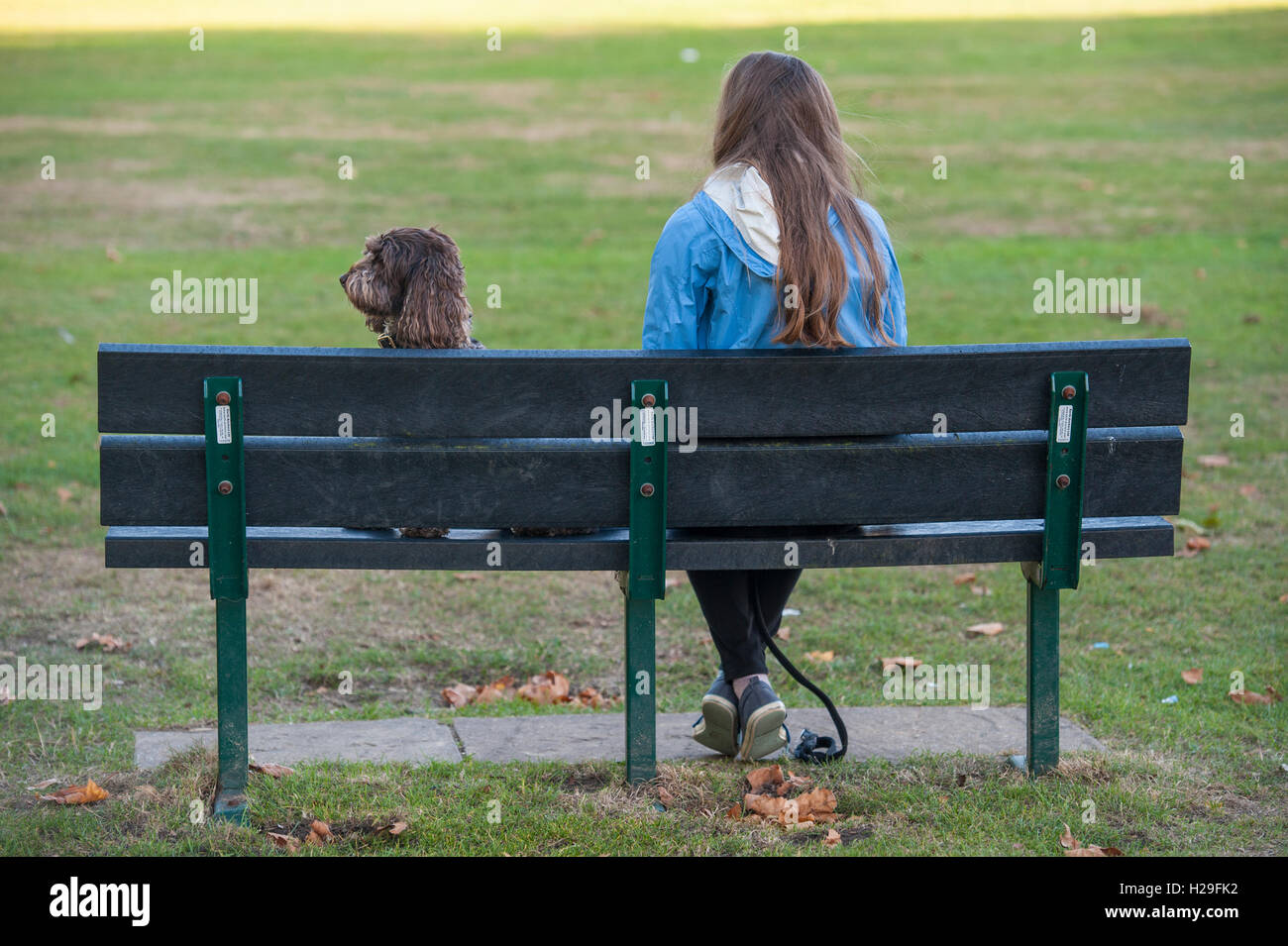 Dog owner on a park bench hi-res stock photography and images - Alamy