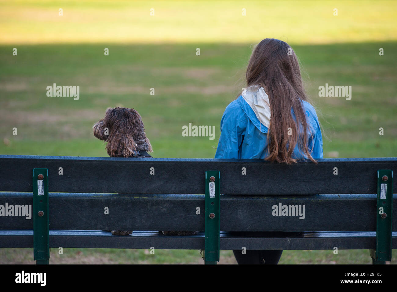 Dog owner on a park bench hi-res stock photography and images - Alamy