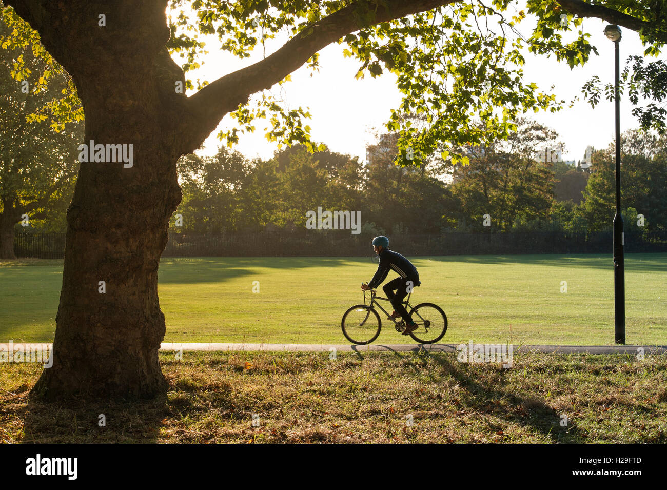 Cycling in the summer sun Stock Photo - Alamy