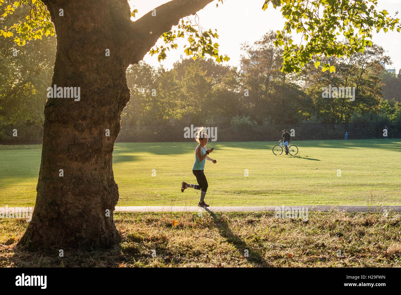 A runner runs with a late afternoon sun in a london park Stock Photo ...