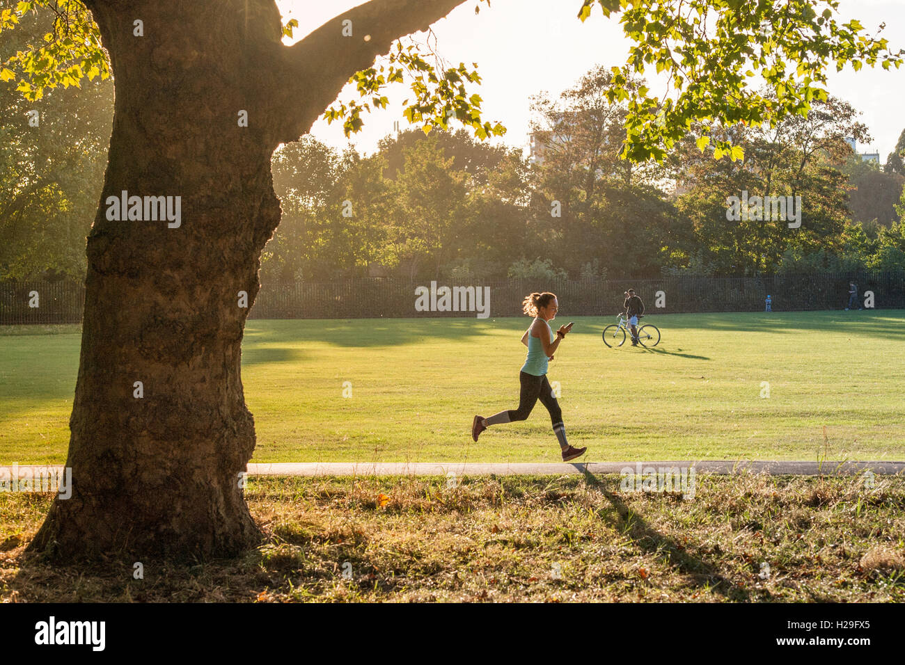 A runner runs with a late afternoon sun in a london park Stock Photo ...